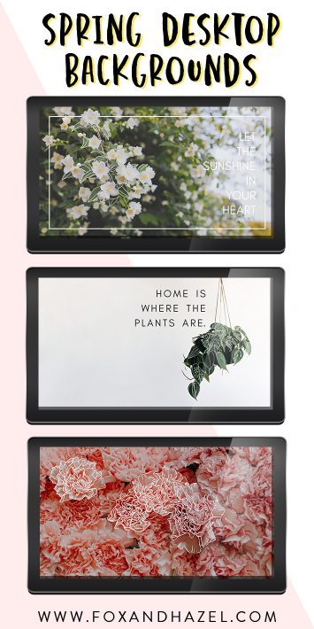 Free Botanical Spring Desktop Backgrounds | Fox + Hazel